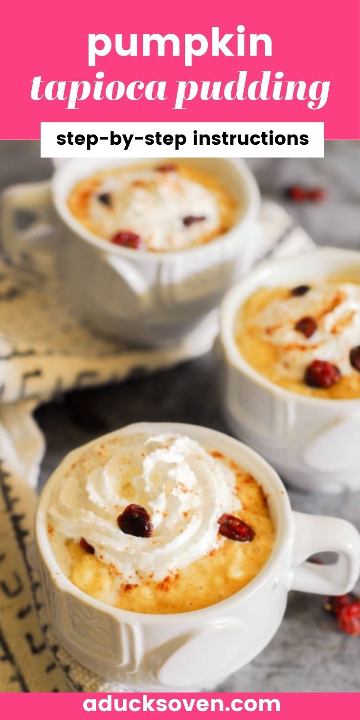 Pumpkin Tapioca Pudding - A Duck's Oven